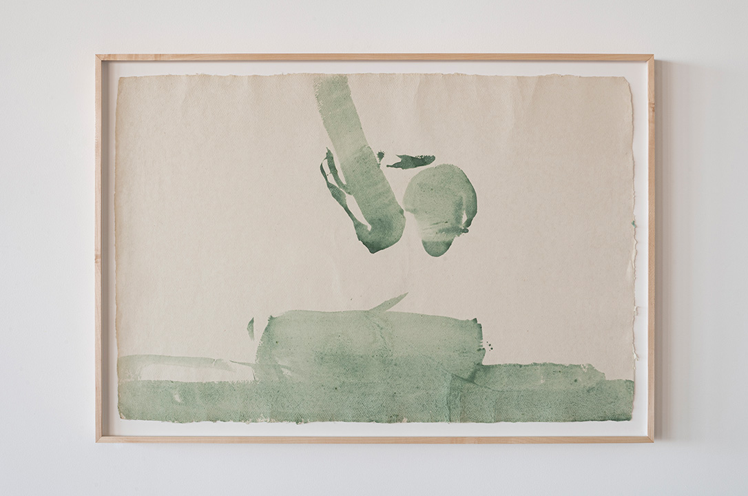 Surface Series | Sage Culture