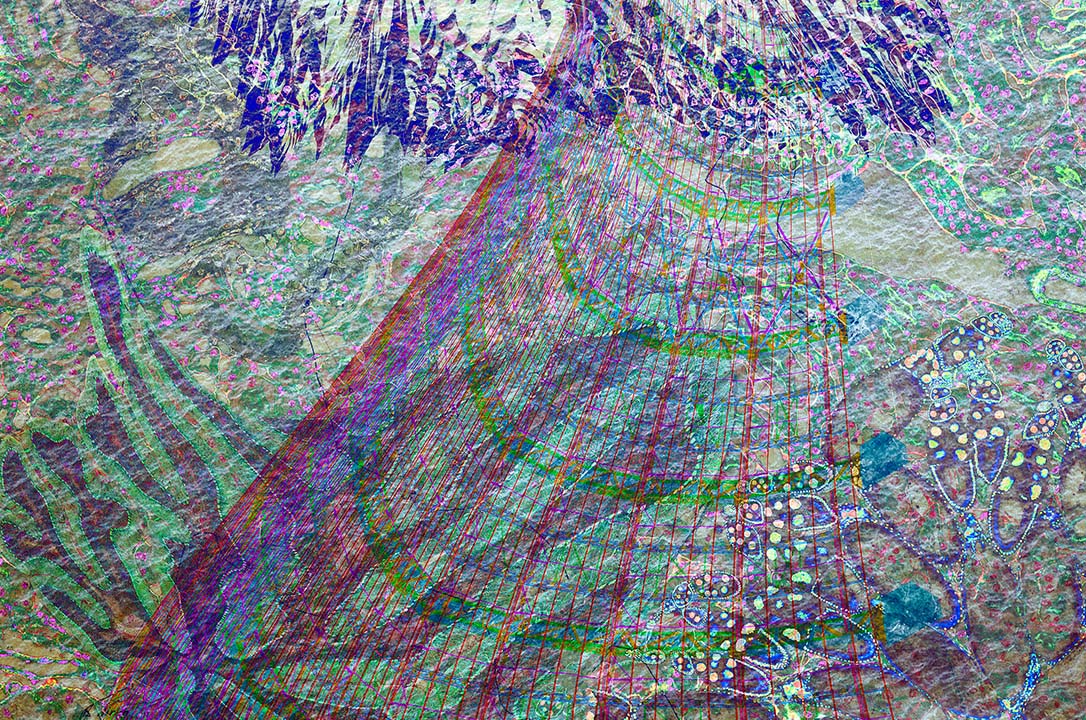 Casting a Wide Net | Sage Culture