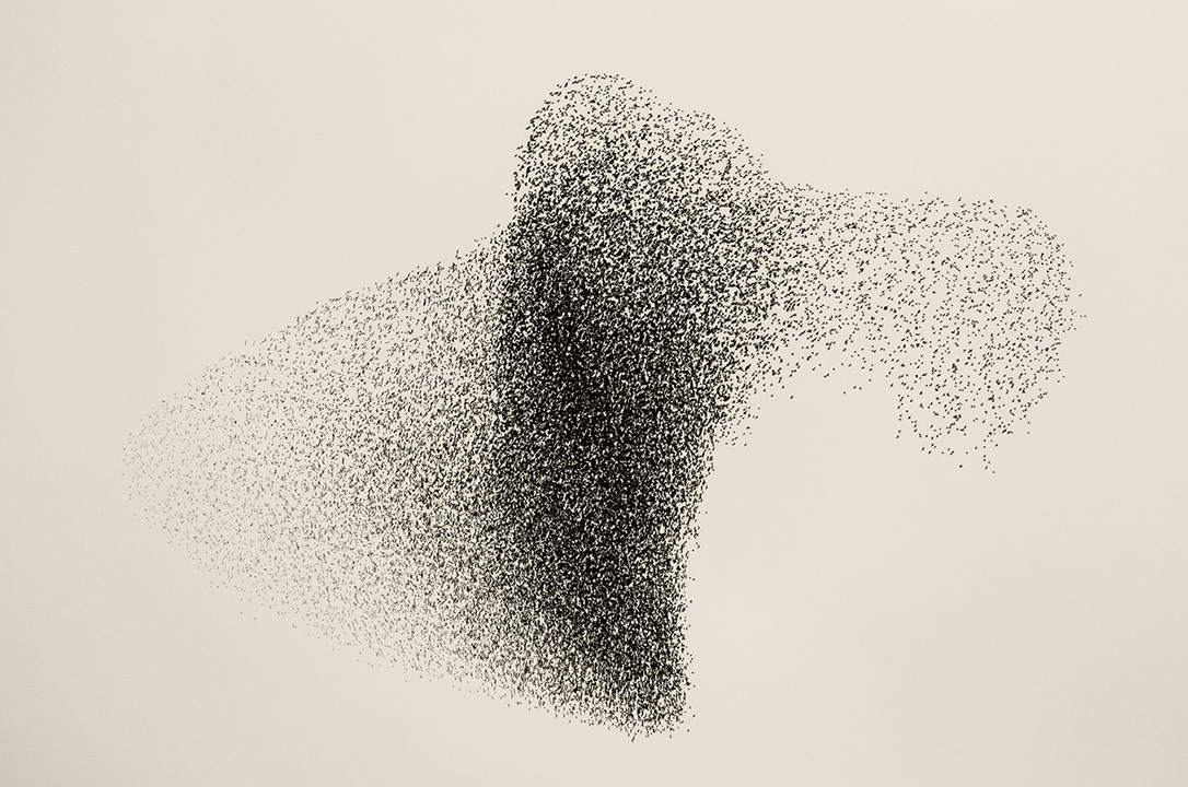 Black Sun 106 | Sage Culture