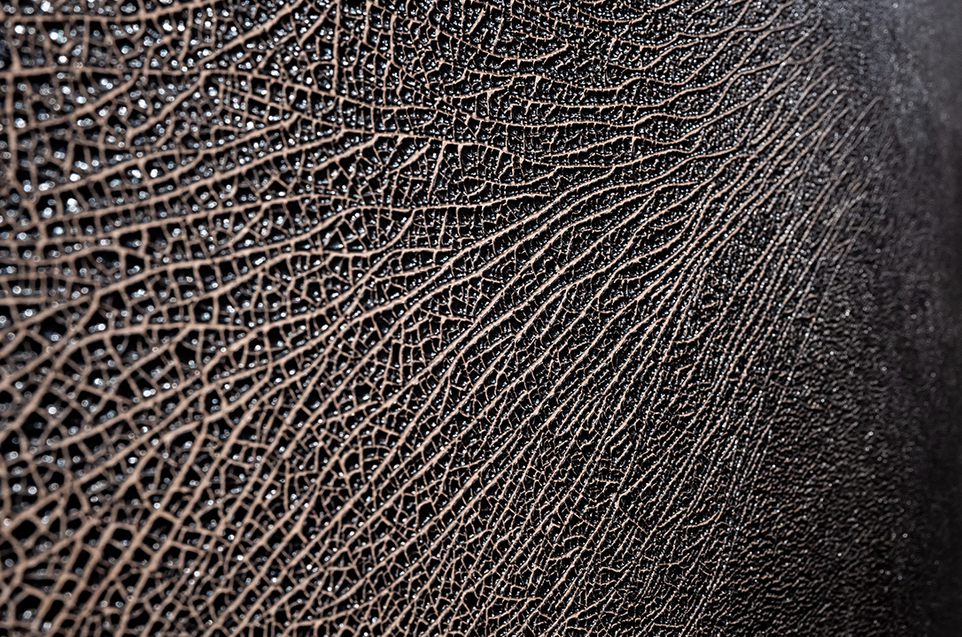 The Swan of Tuonela | Sage Culture