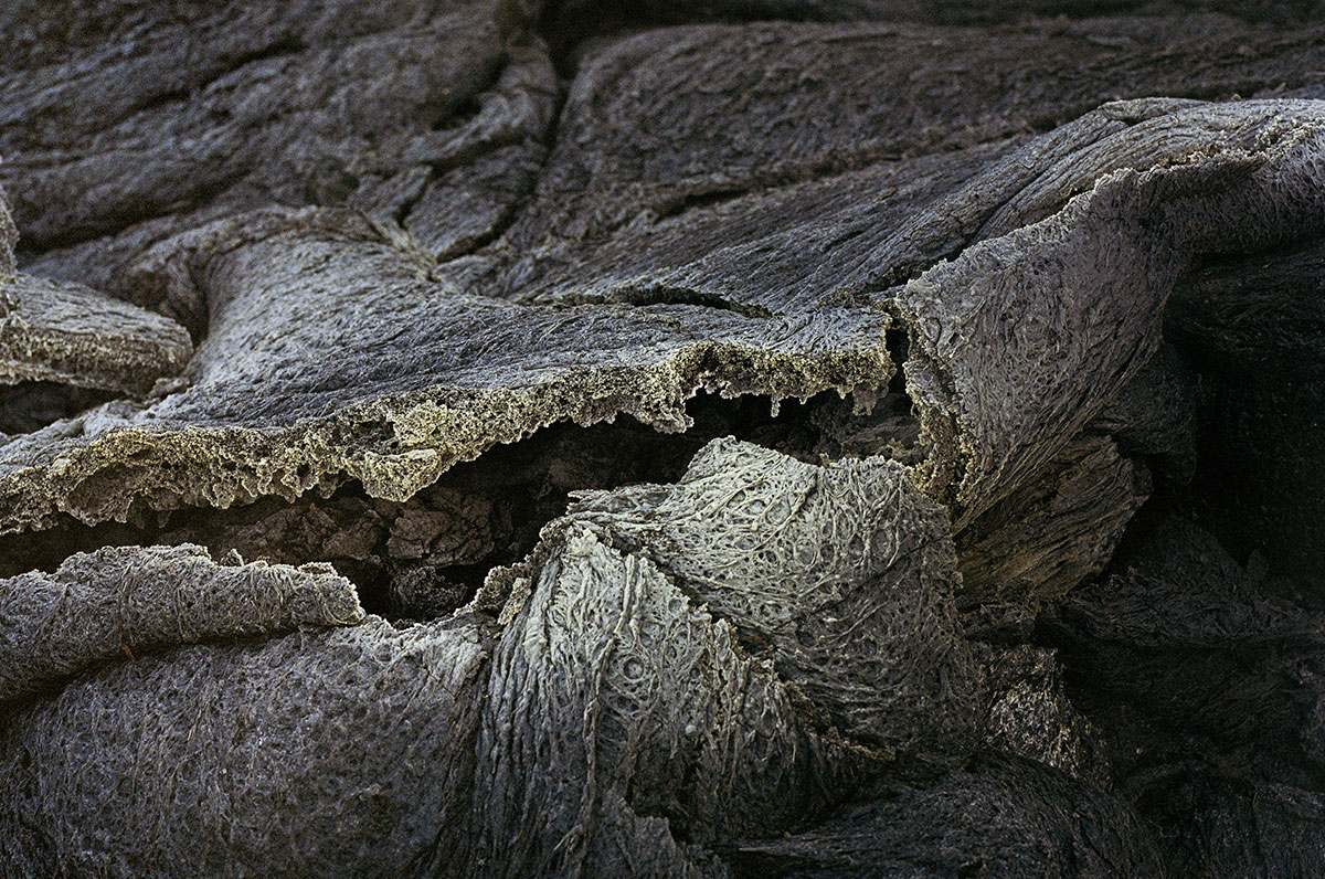 Terra Ancestral | Sage Culture